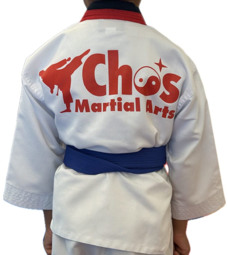 Upgraded Red/blk V-neck - Cho's Martial Arts